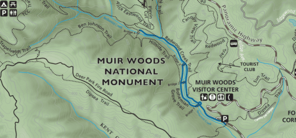 Muir Woods Hikes | Dylan's