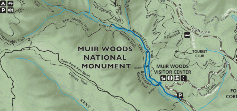 Muir Woods Hikes | Dylan's