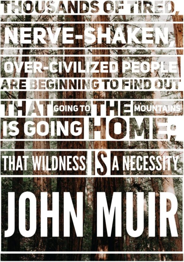 10 John Muir Quotes to Inspire You to Take a Muir Woods Tour