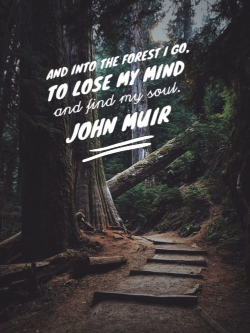 10 John Muir Quotes to Inspire You to Take a Muir Woods Tour