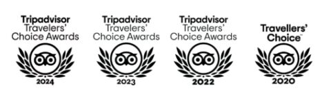 Dylan's Famous Tour With Muir Woods - Dylan's Tours